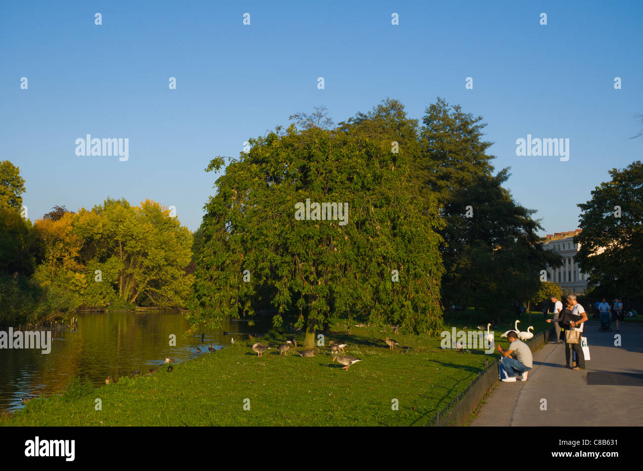 Royal park central london hi-res stock photography and images - Alamy