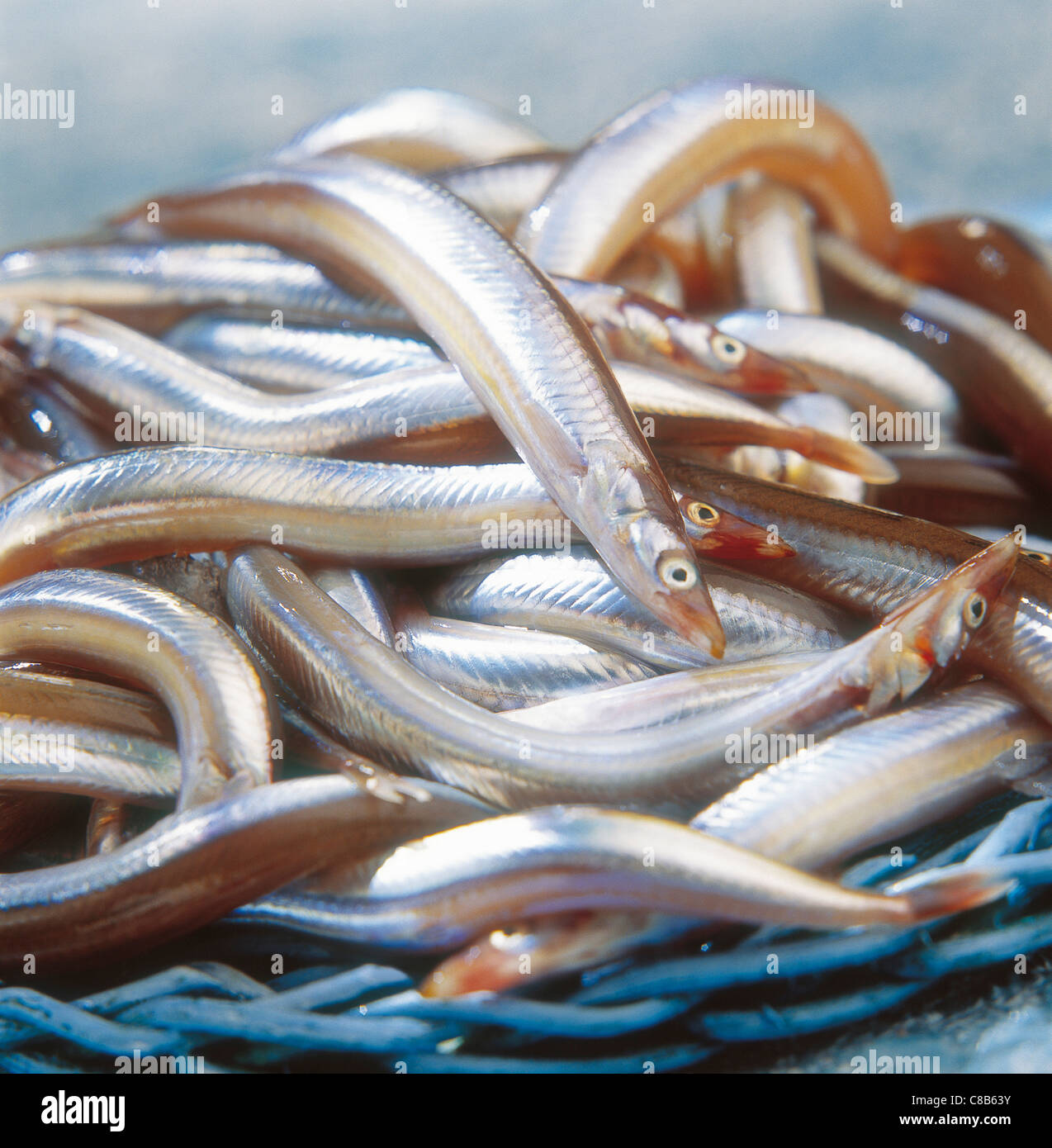 The eels hi-res stock photography and images - Alamy