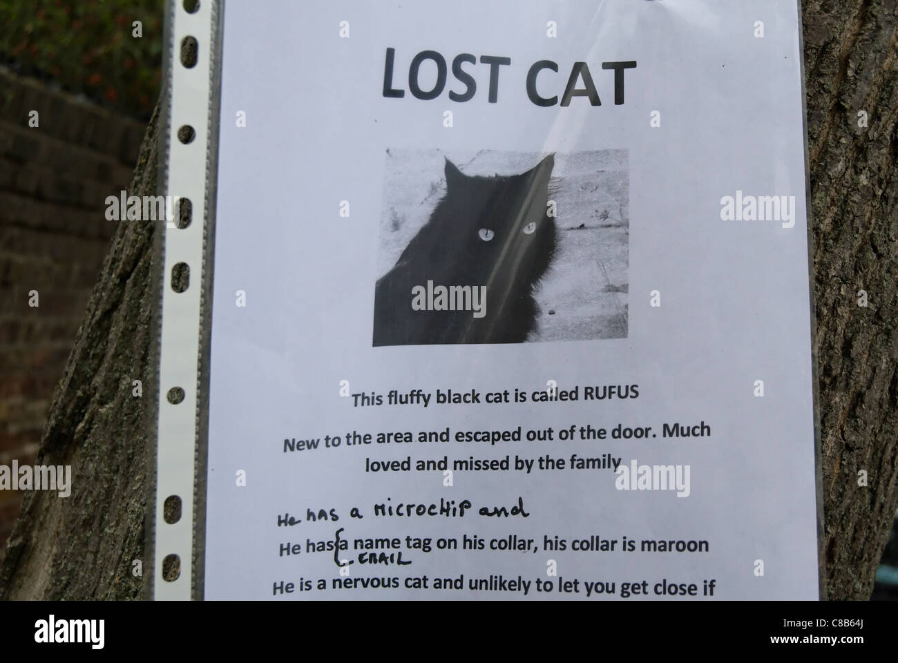 Lost cat notice hi-res stock photography and images - Alamy