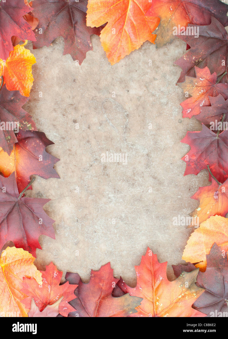 Frame made with autumn leaves Stock Photo - Alamy