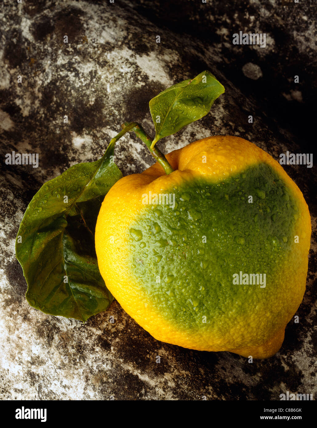 Cedrat hi-res stock photography and images - Alamy