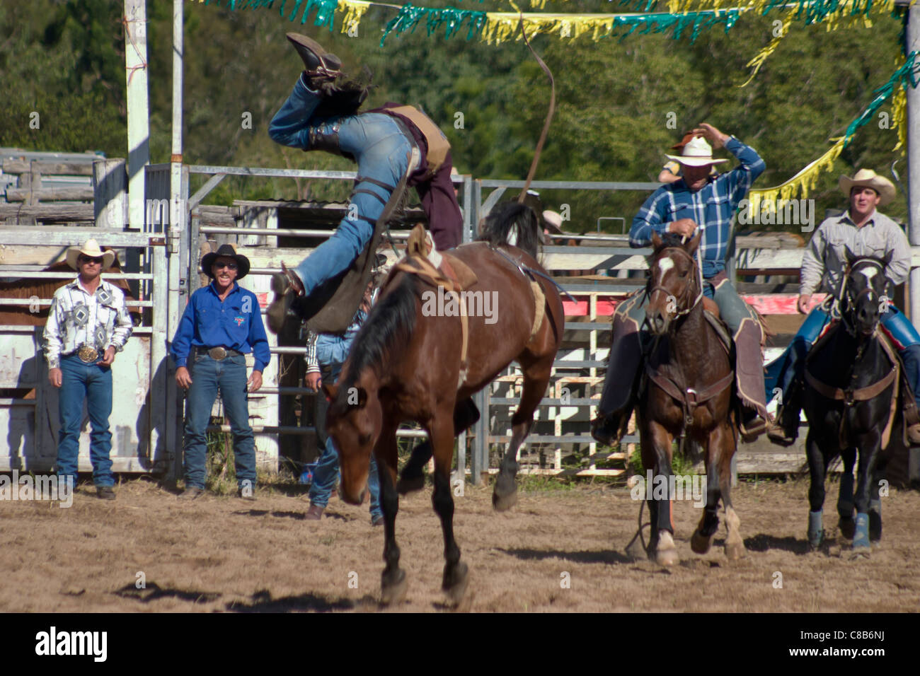 Saddle bronc ride at Dayboro country rodeo falling off Stock Photo - Alamy