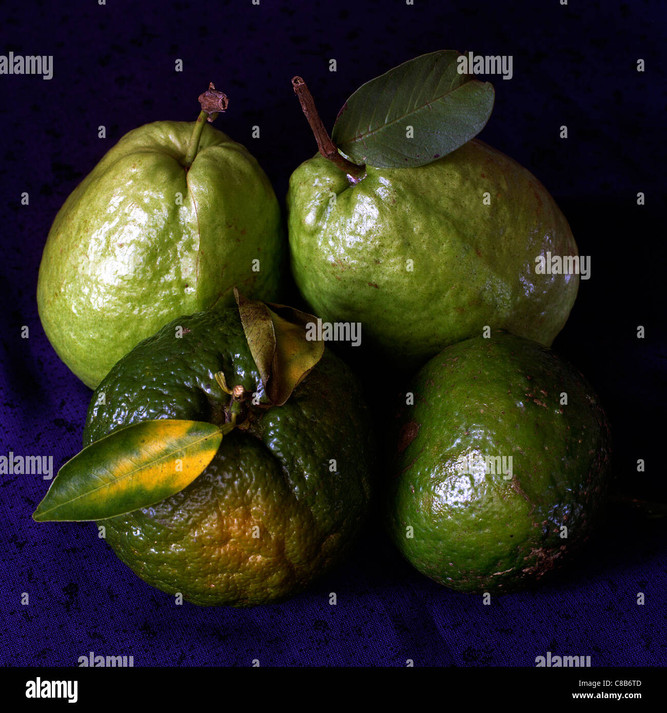 Guava Fruit Stock Photos & Guava Fruit Stock Images - Alamy