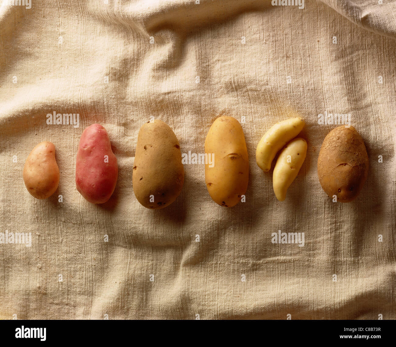 varieties of potato Stock Photo - Alamy