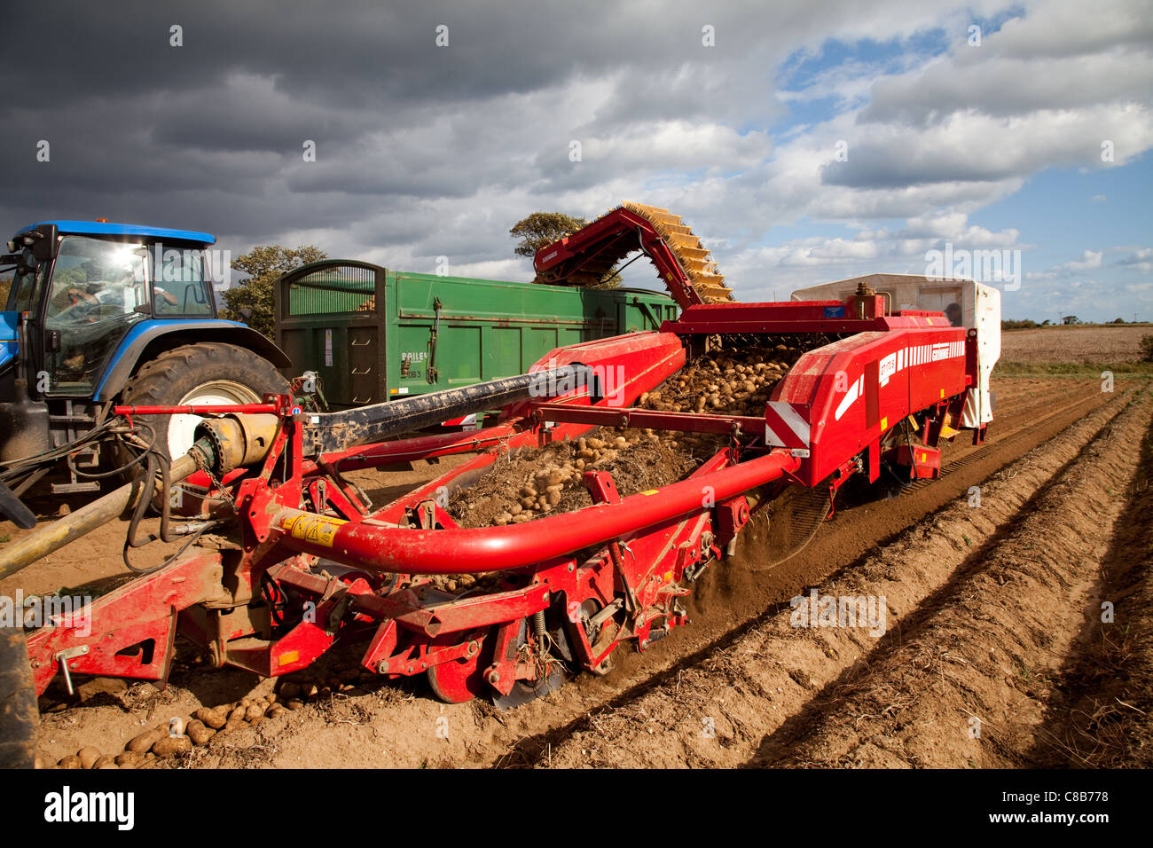 Furrows of lifted potatoes hi-res stock photography and images - Alamy