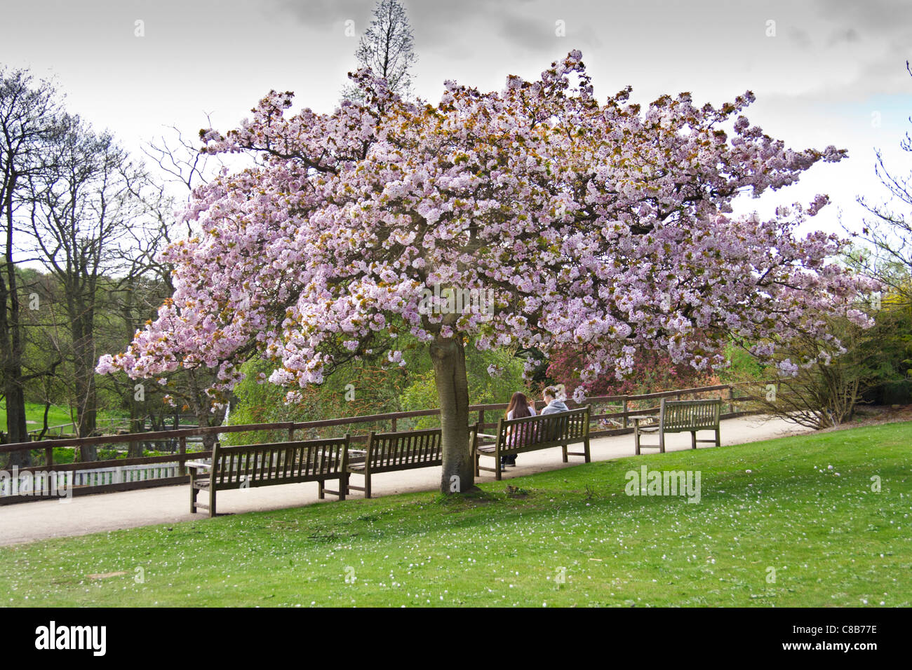 Leeds nature park hi-res stock photography and images - Alamy