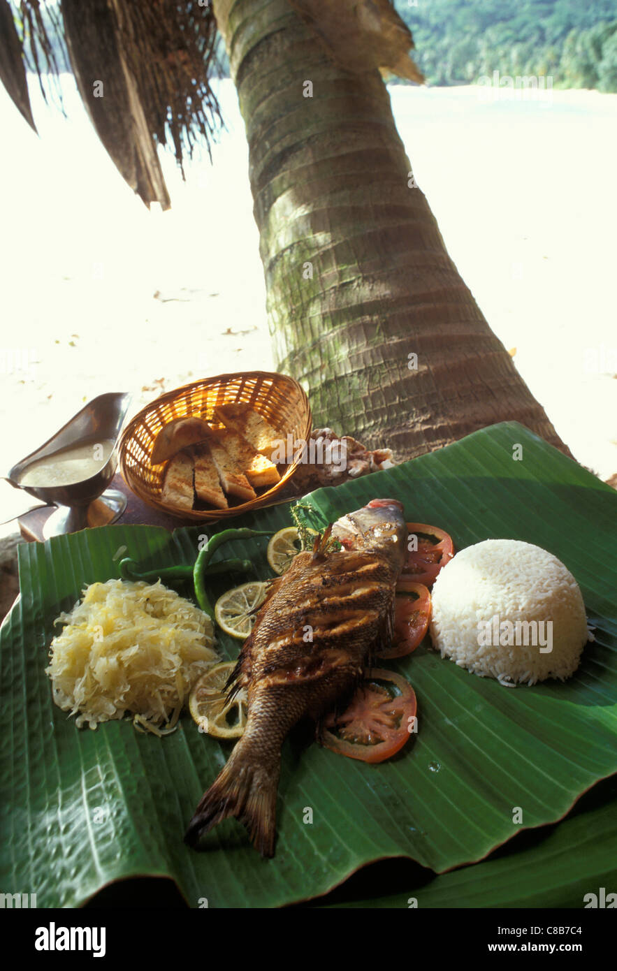 Bourgeois red snapper hi-res stock photography and images - Alamy