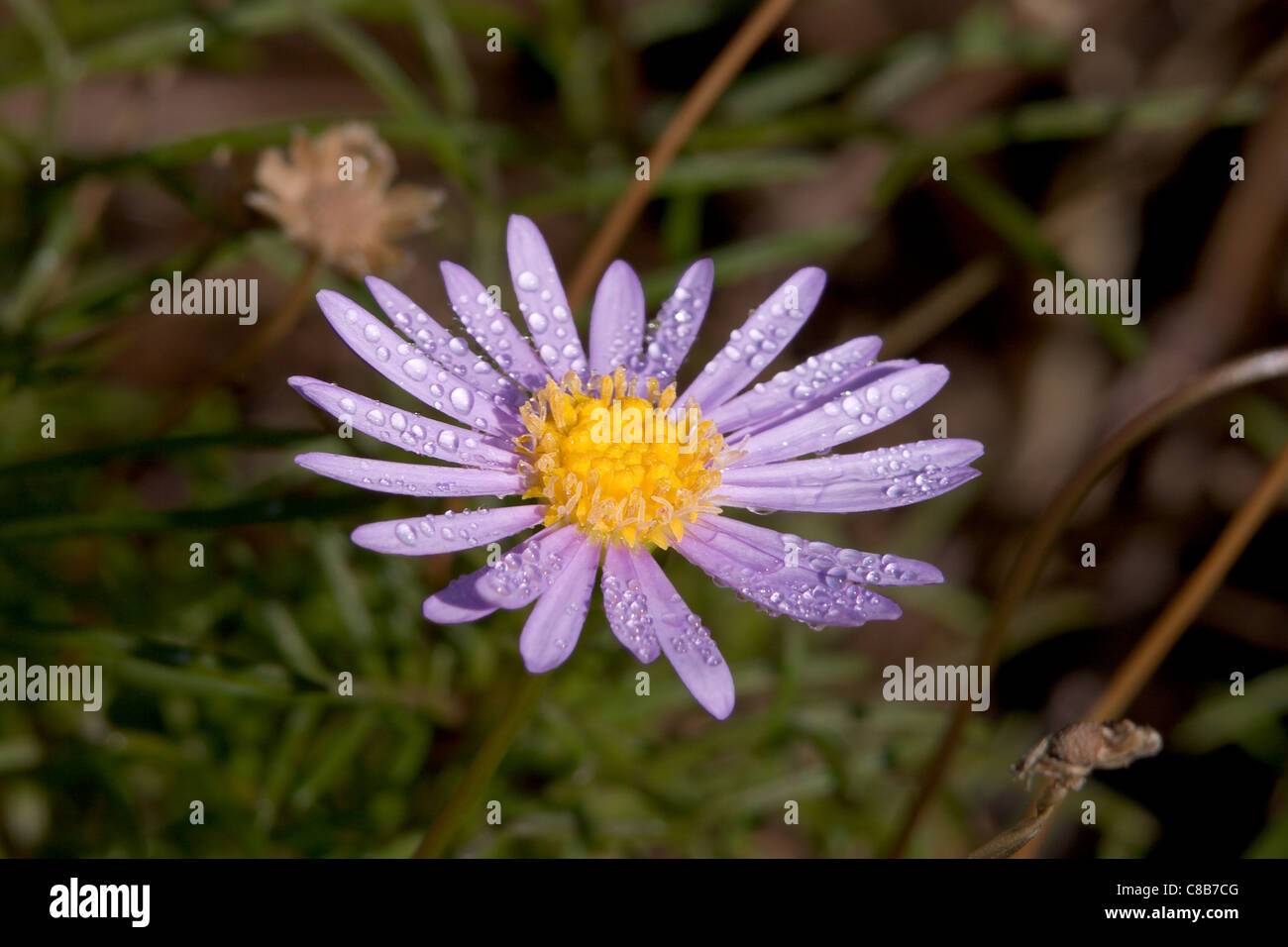 Hawkesbury river australia hi-res stock photography and images - Alamy