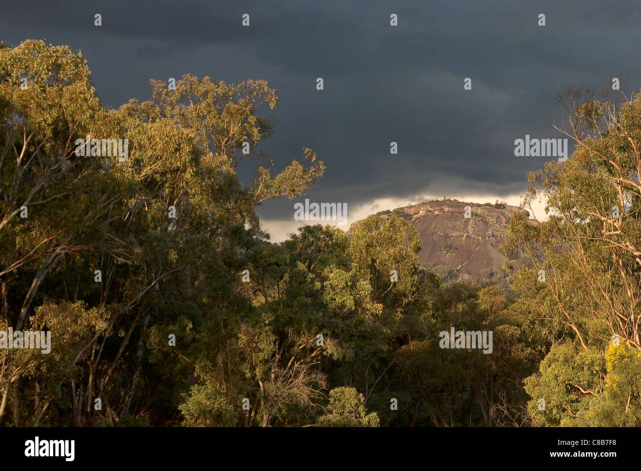 The Pyramid at Girraween, Queensland Australia Stock Photo - Alamy