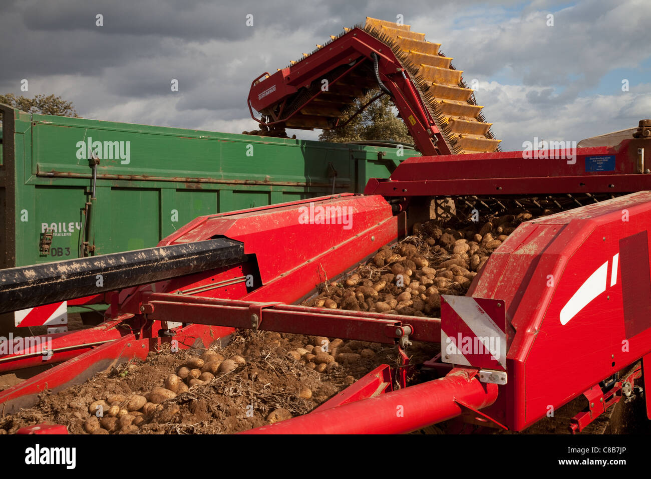Furrows of lifted potatoes hi-res stock photography and images - Alamy