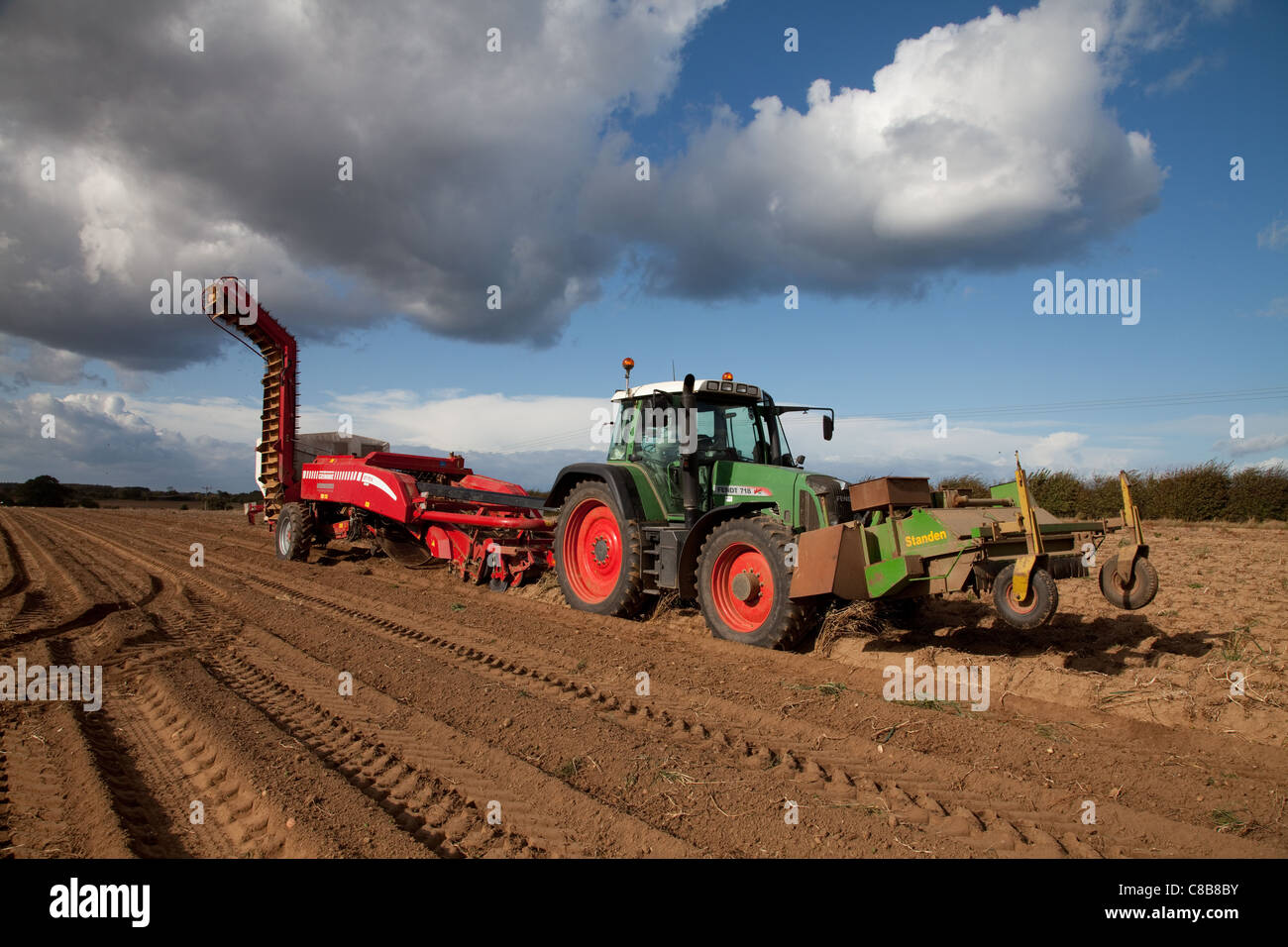 Furrows of lifted potatoes hi-res stock photography and images - Alamy