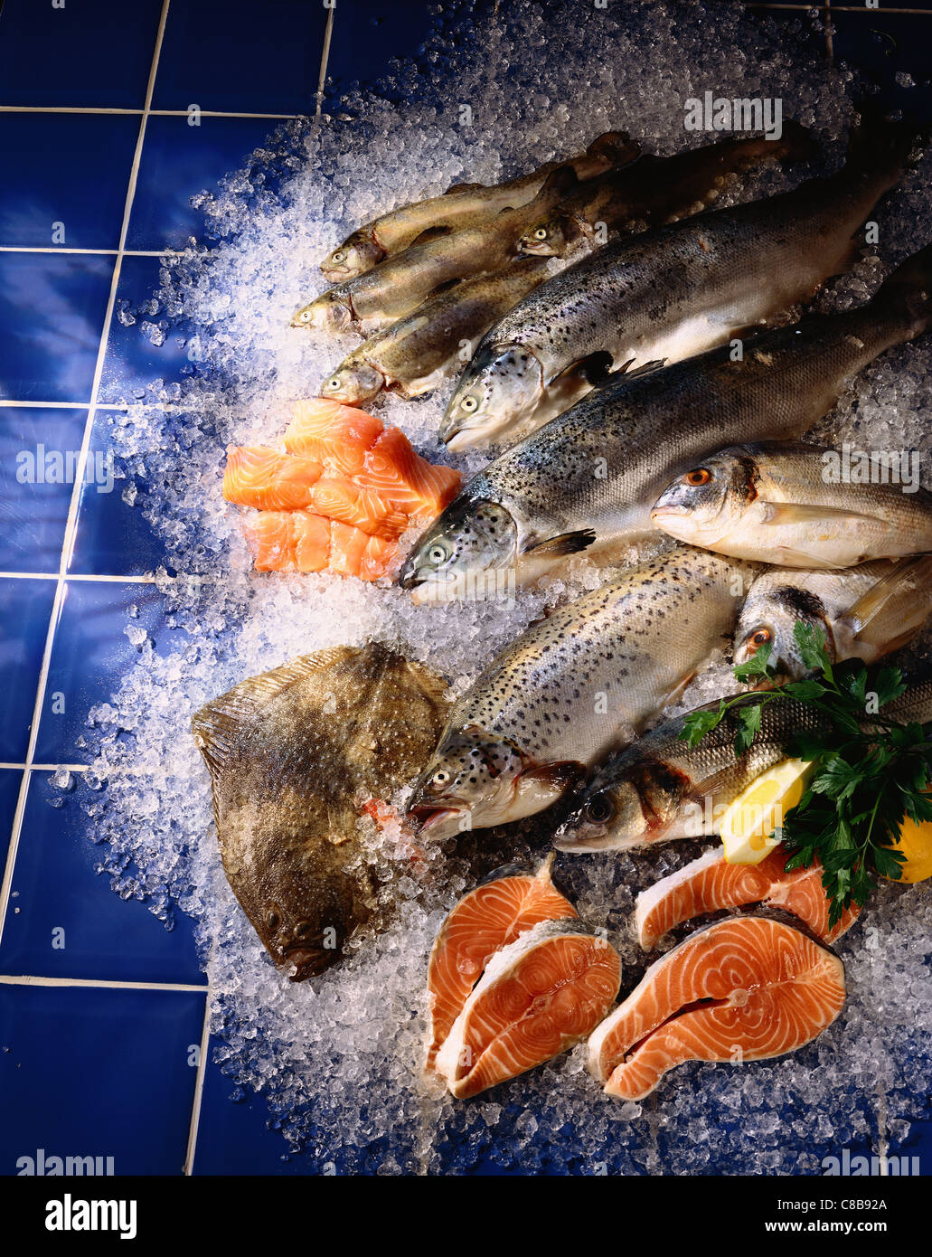 selection of fish Stock Photo - Alamy
