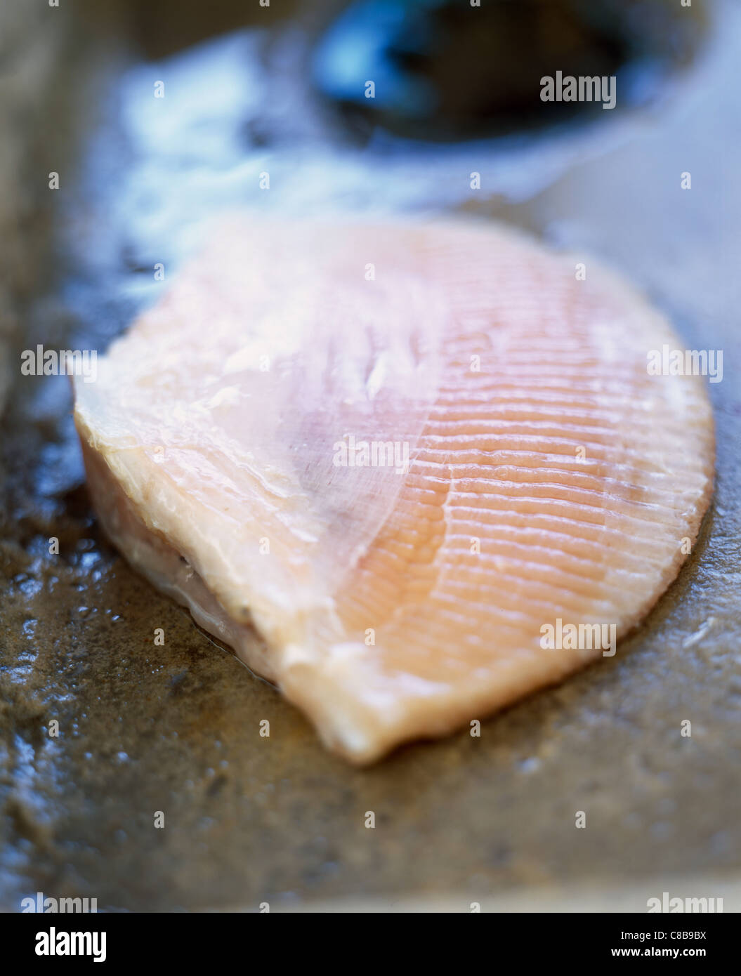 Skate fin hi-res stock photography and images - Alamy