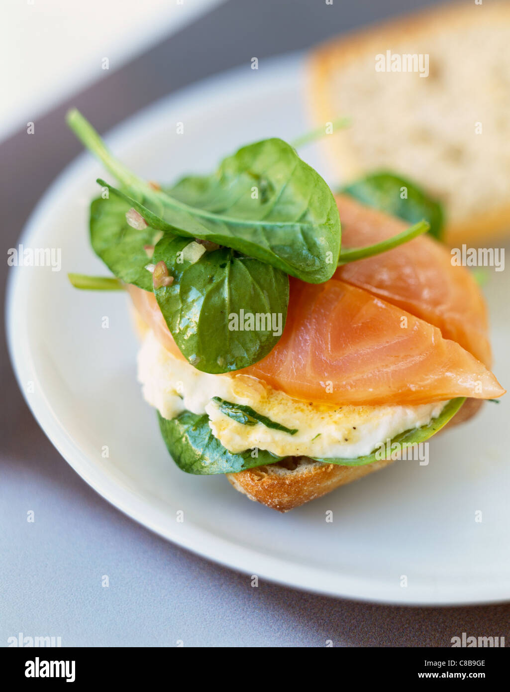 Smoked salmon and Mozzarella on Bagnat bread Stock Photo - Alamy