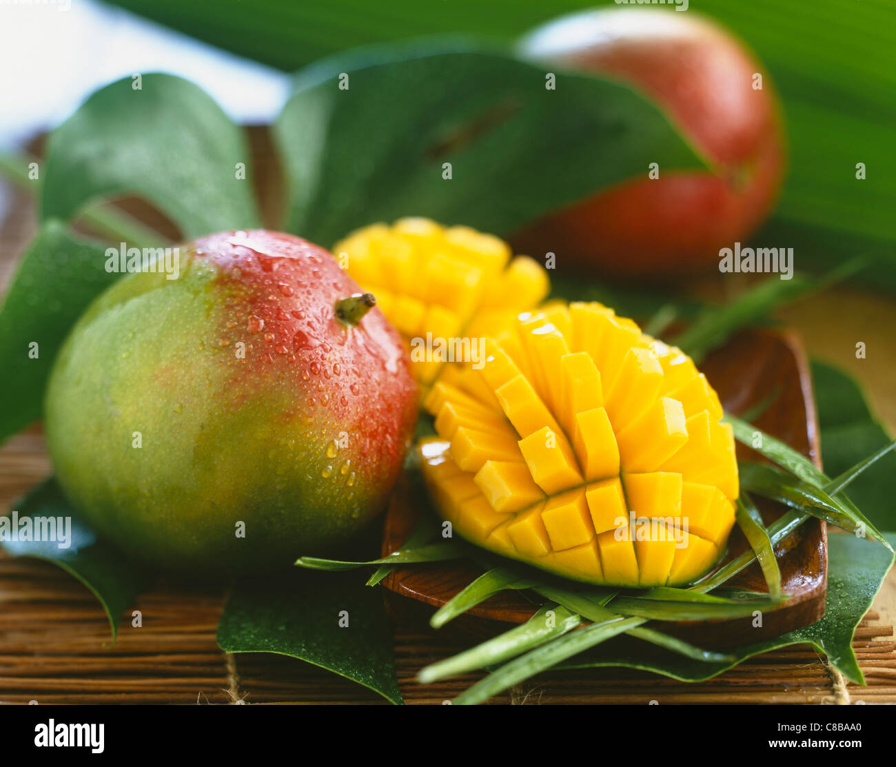 Criss cut hi-res stock photography and images - Alamy