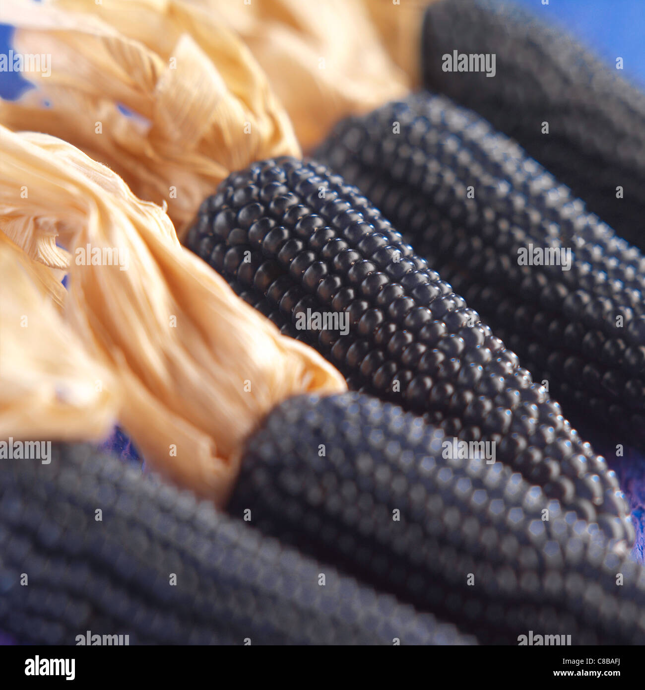 Black corn hi-res stock photography and images - Alamy