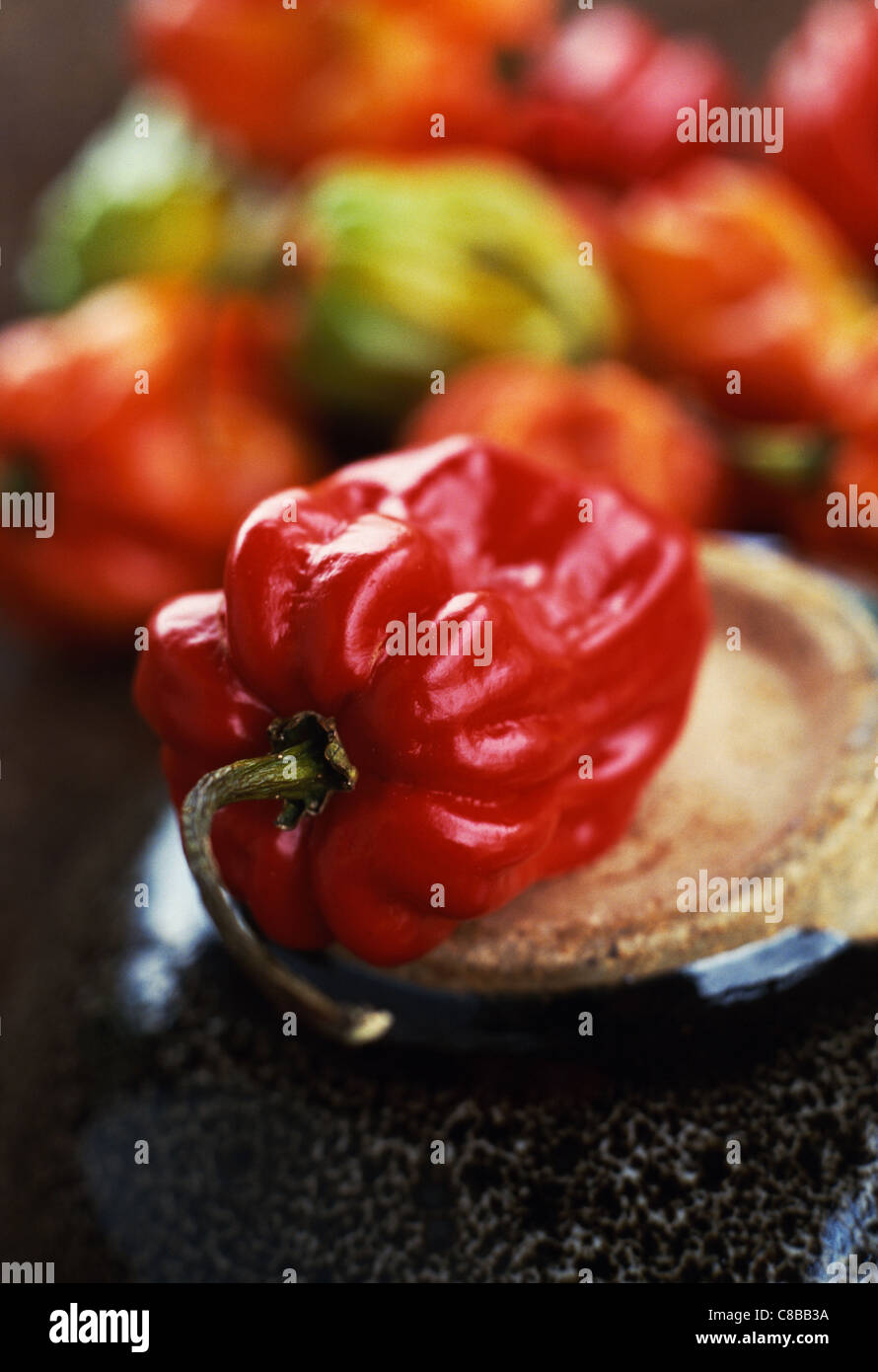 west indian pepper Stock Photo - Alamy