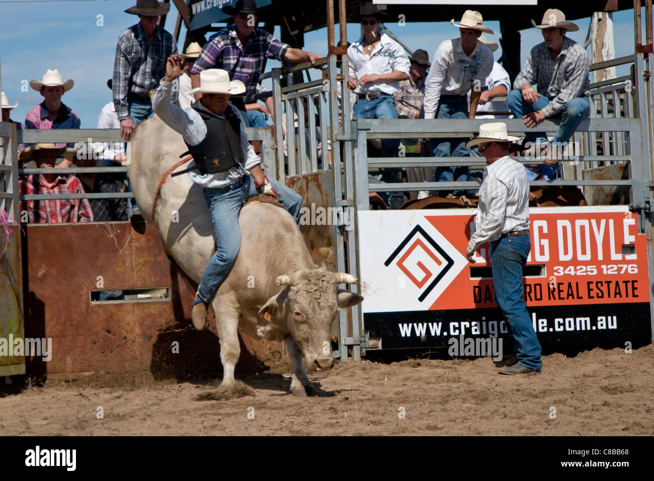 Bull ride at Dayboro country rodeo Stock Photo - Alamy