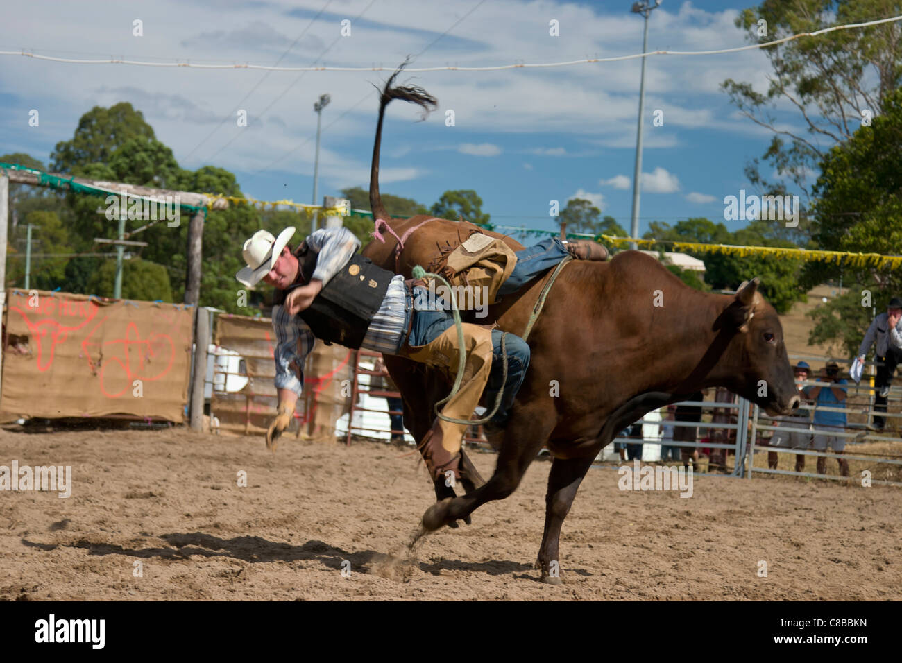 Bucking cowboy falling off rodeo hi-res stock photography and images ...
