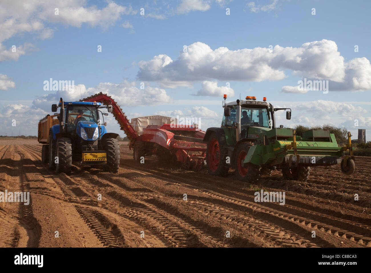 Furrows of lifted potatoes hi-res stock photography and images - Alamy