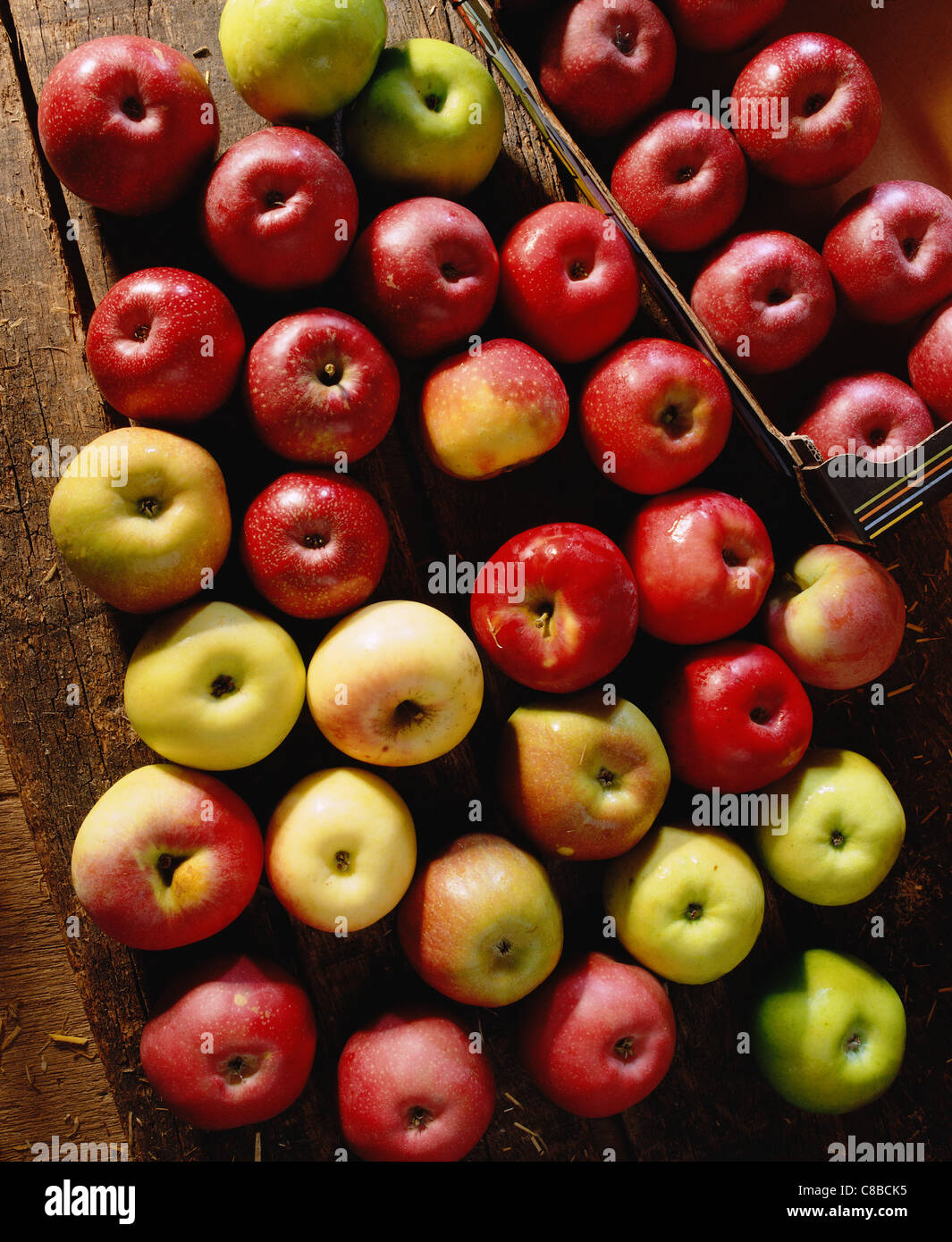 various varieties of apple Stock Photo - Alamy