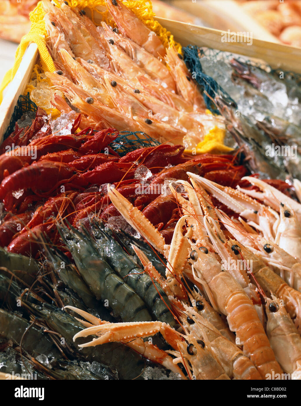 mediterranean prawns, crawfish and dublin bay prawns Stock Photo - Alamy