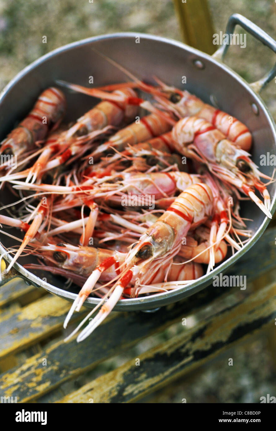 Dublin bay prawn fishing hi-res stock photography and images - Alamy