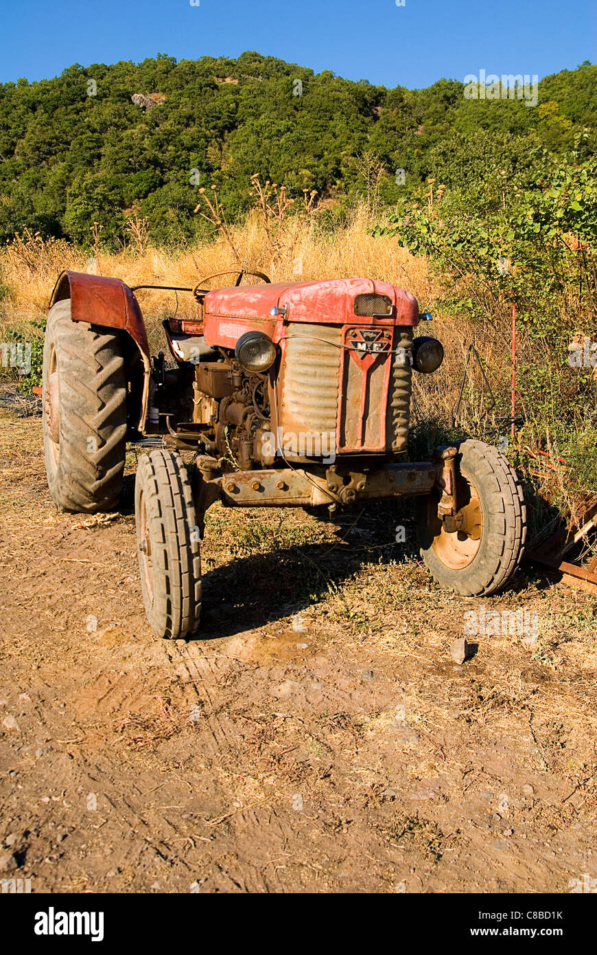 Antique Massey Ferguson Red Tractor TEF Stock Photo - Alamy