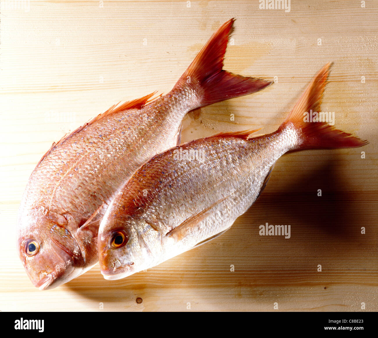 Pink sea bream Stock Photo - Alamy
