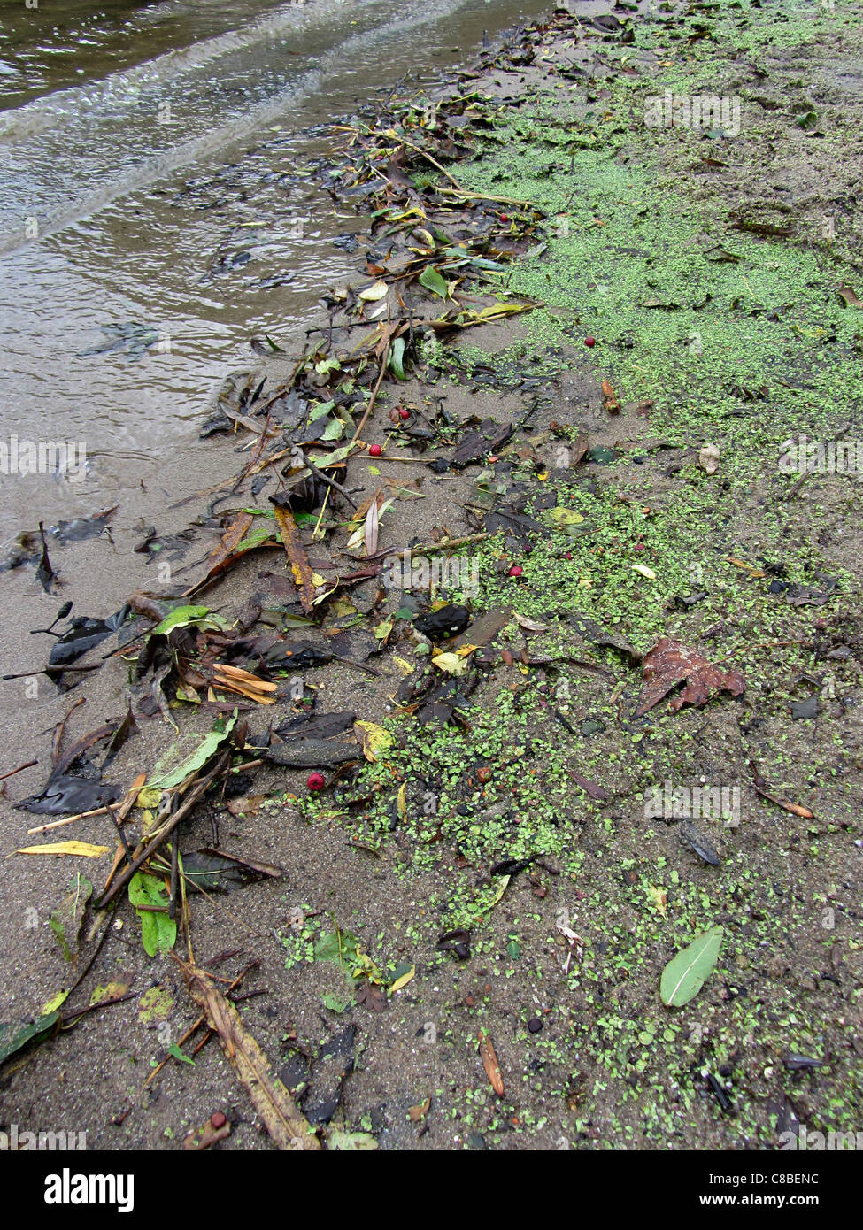 Wave washed beach hi-res stock photography and images - Alamy