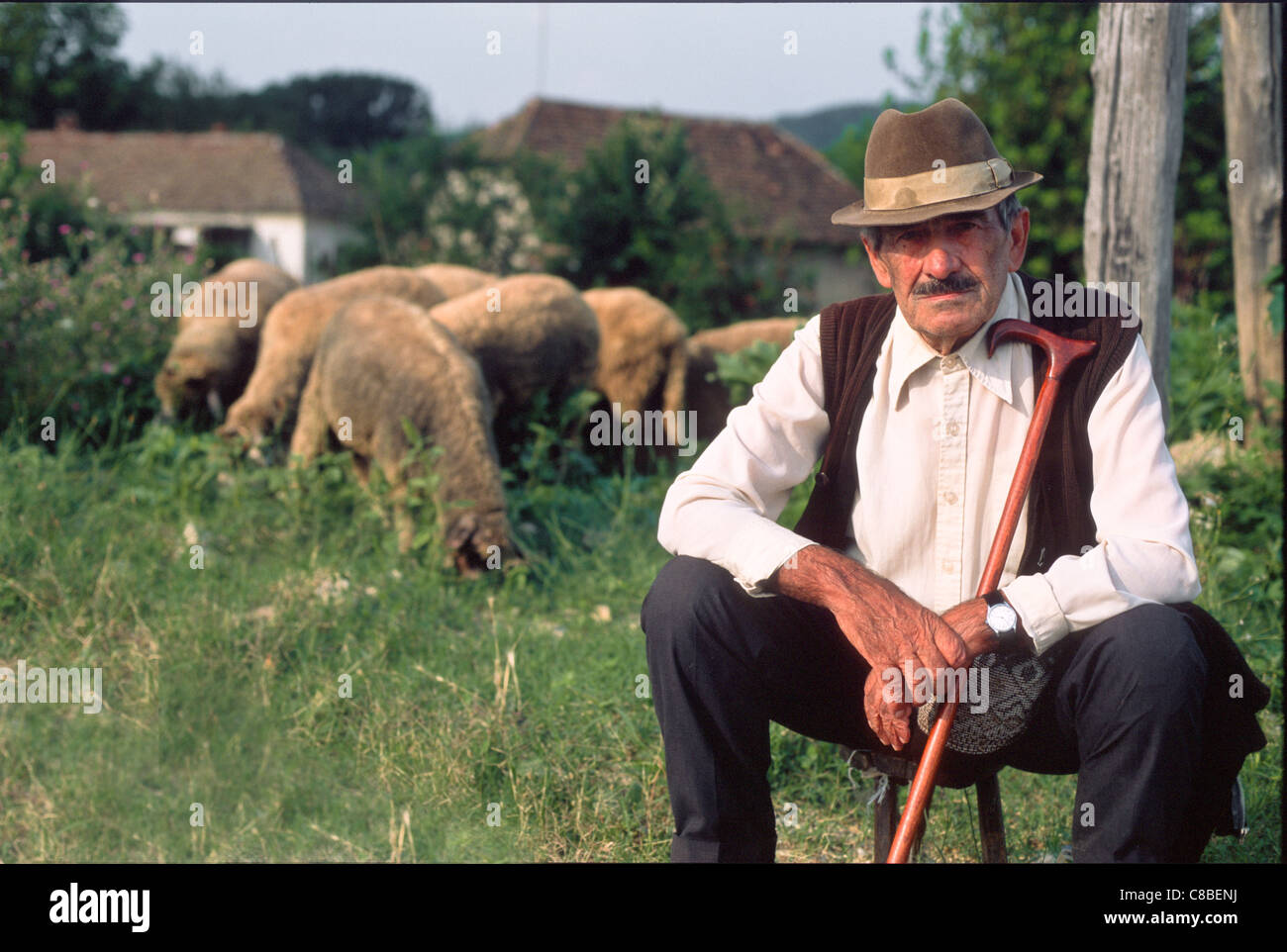 The shepherd and the lamb hi-res stock photography and images - Alamy