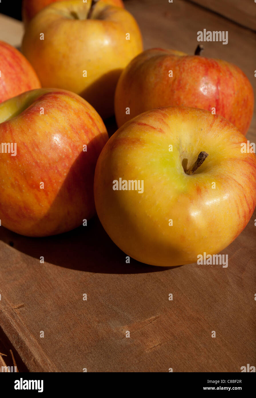Rubens apple hi-res stock photography and images - Alamy