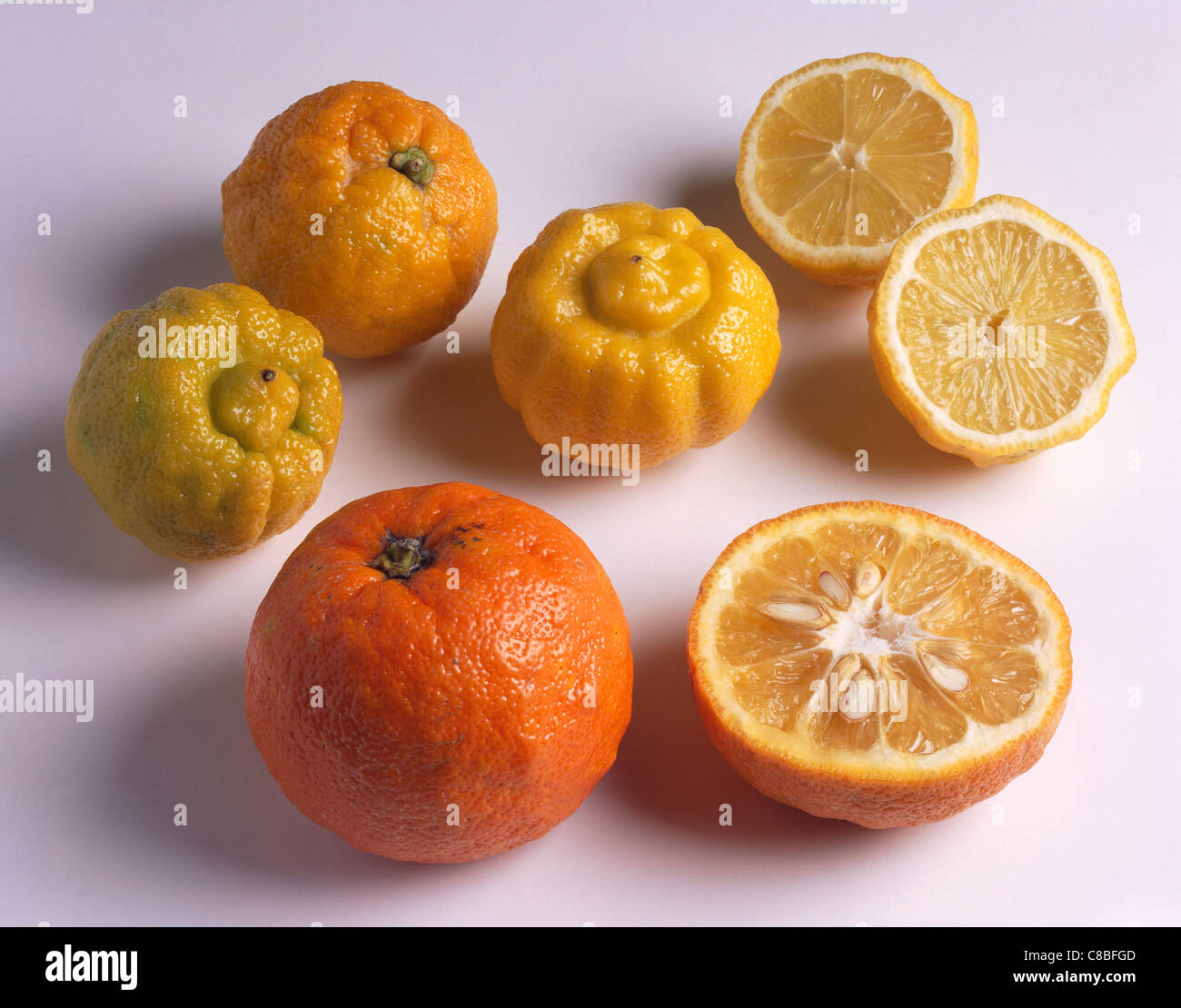 Bigarade orange hi-res stock photography and images - Alamy