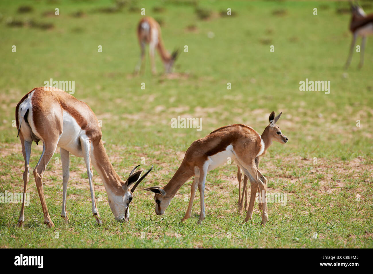 Baby geboren hi-res stock photography and images - Alamy