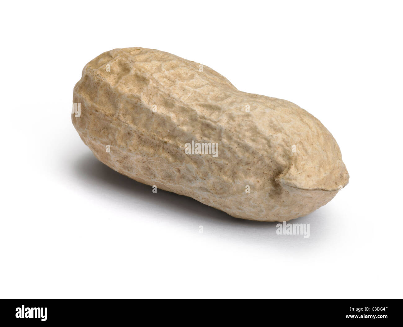 studio photography of a peanut with peel in white back with shadow ...
