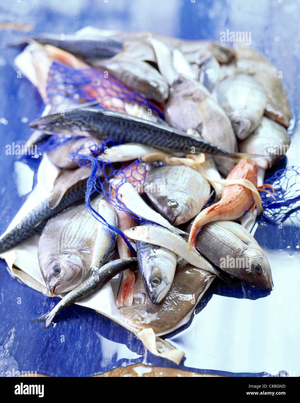 selection of fish Stock Photo - Alamy
