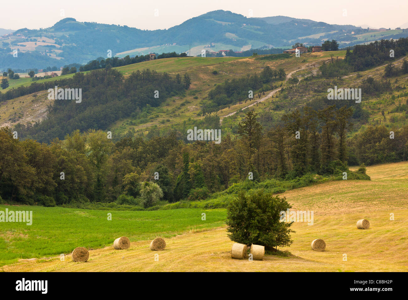 Golden fields italian countryside hi-res stock photography and images ...