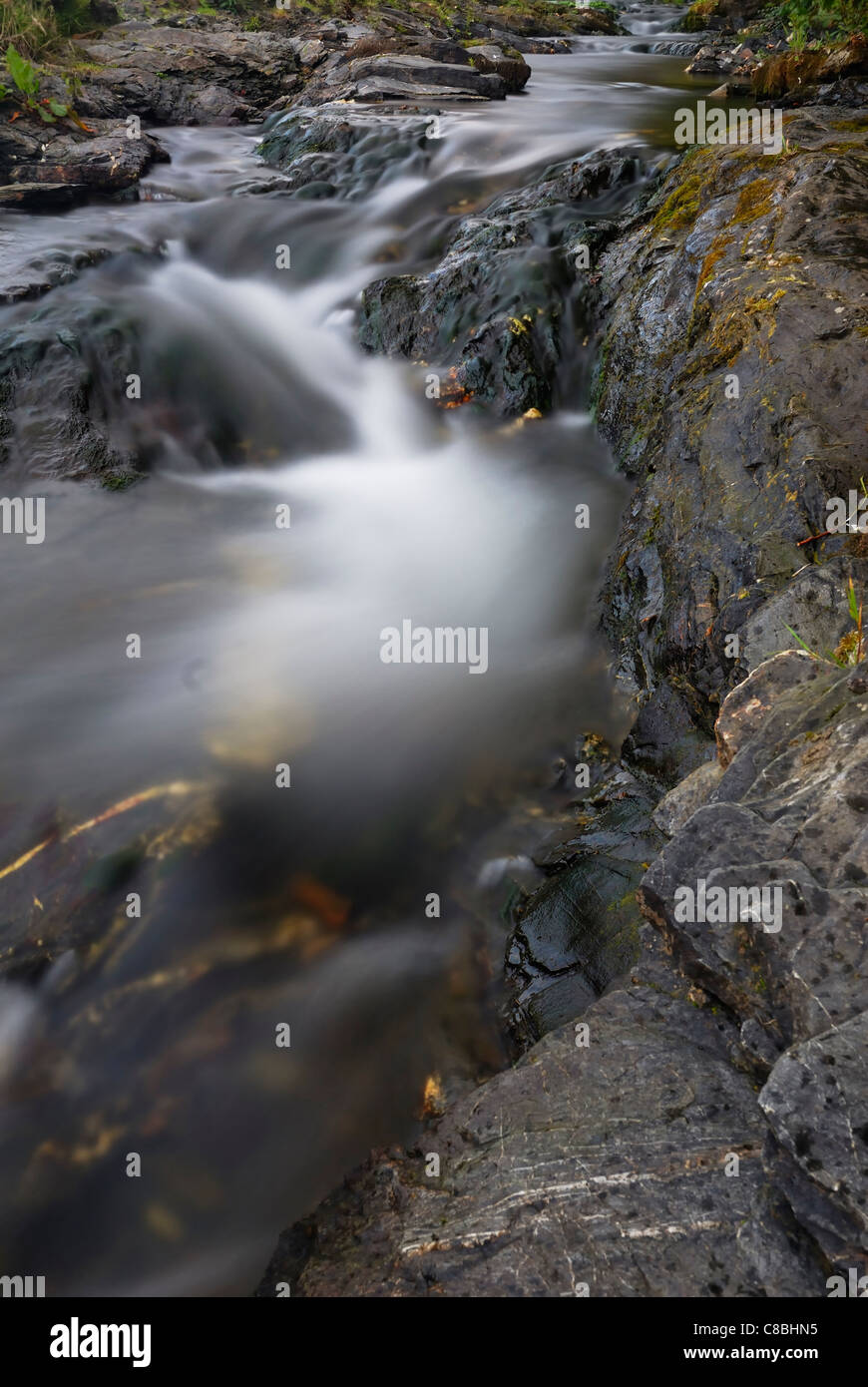 White water and rocks of small, fast moving stream. Cornwall, UK Stock ...