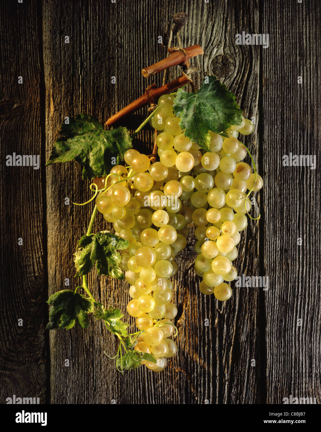 Chasselas Grape Stock Photos & Chasselas Grape Stock Images - Alamy