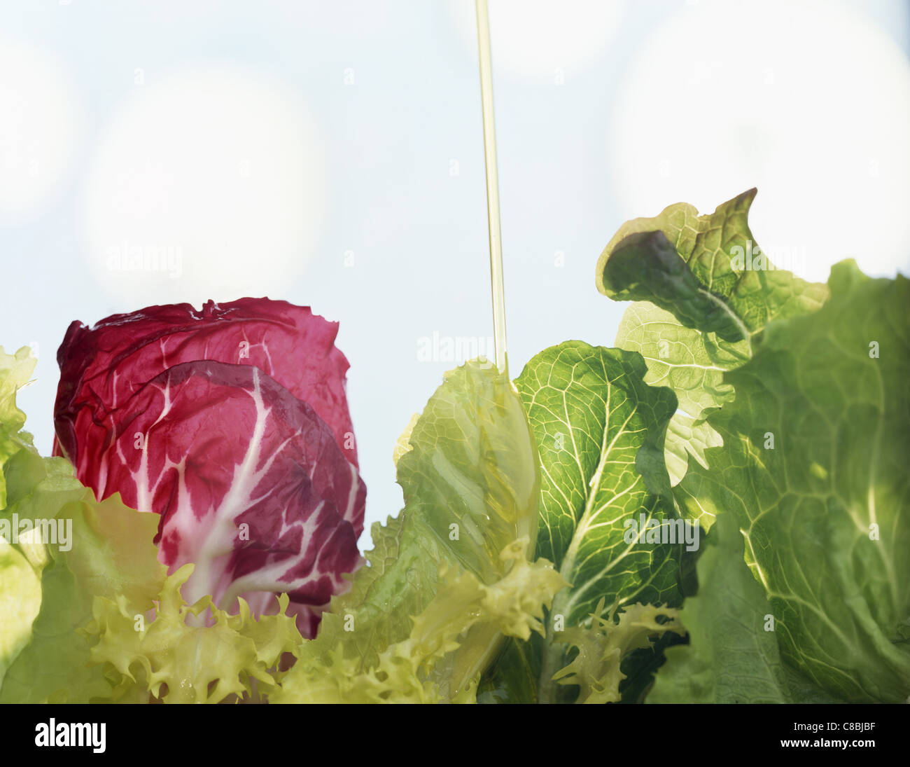 lettuce leaves and dash of olive oil Stock Photo - Alamy
