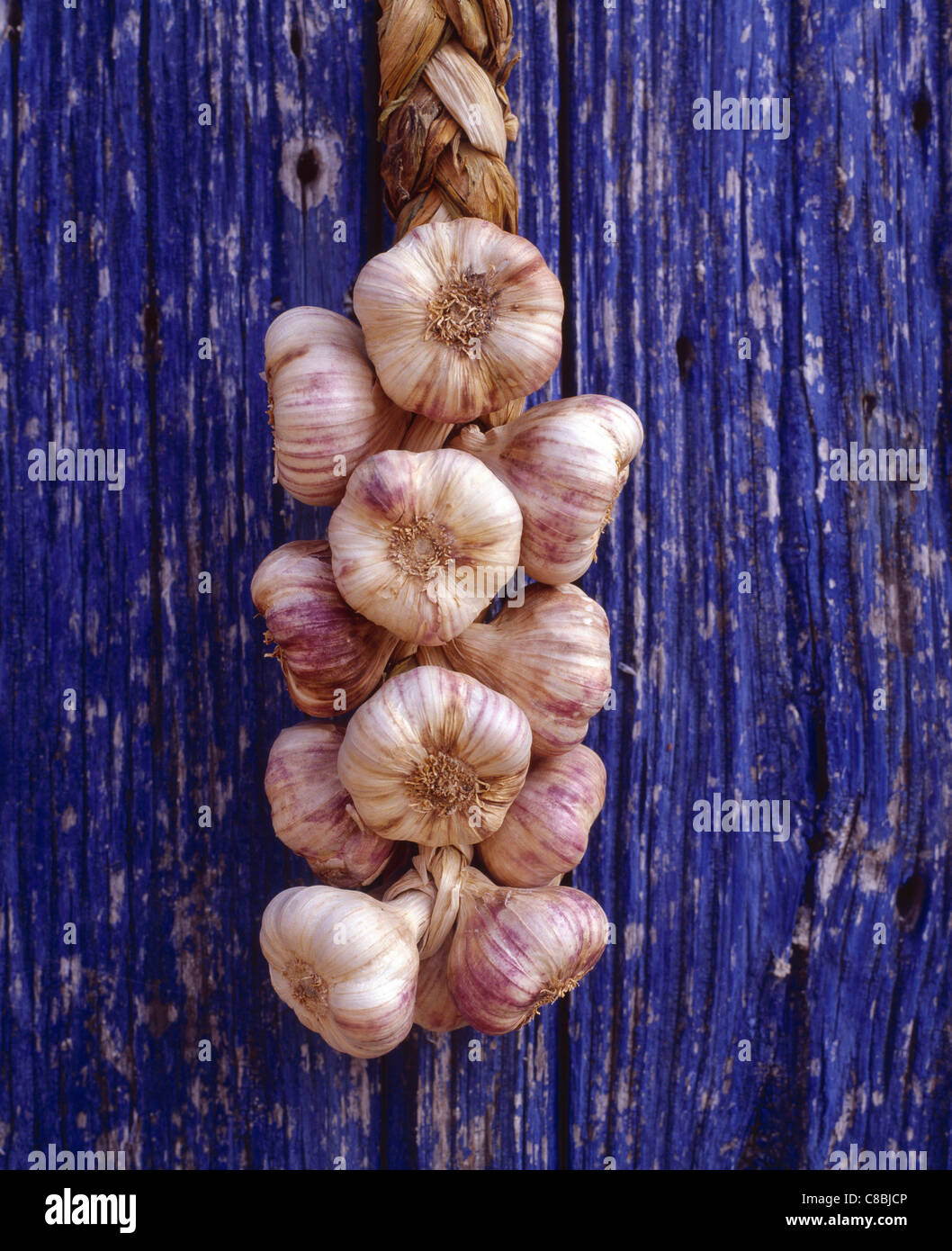 braid of garlic Stock Photo - Alamy