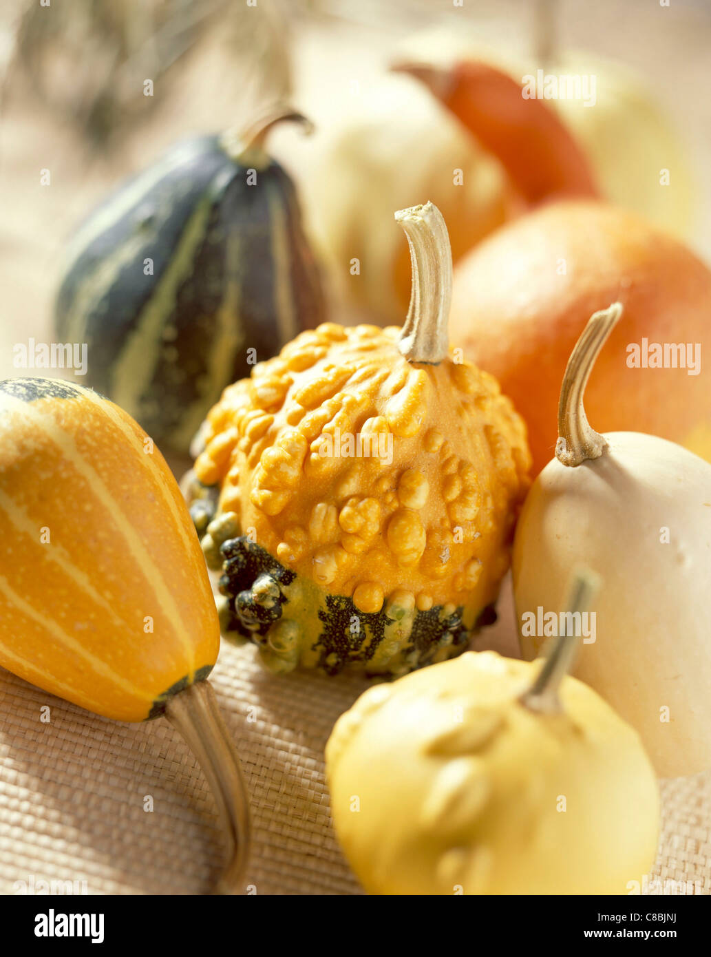 selection of squash Stock Photo - Alamy