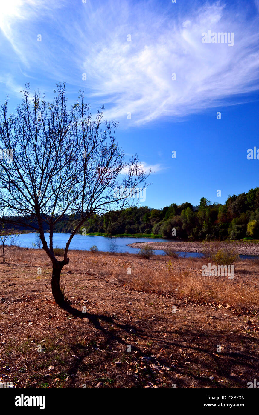 Colorful contrast in nature's flora Stock Photo - Alamy