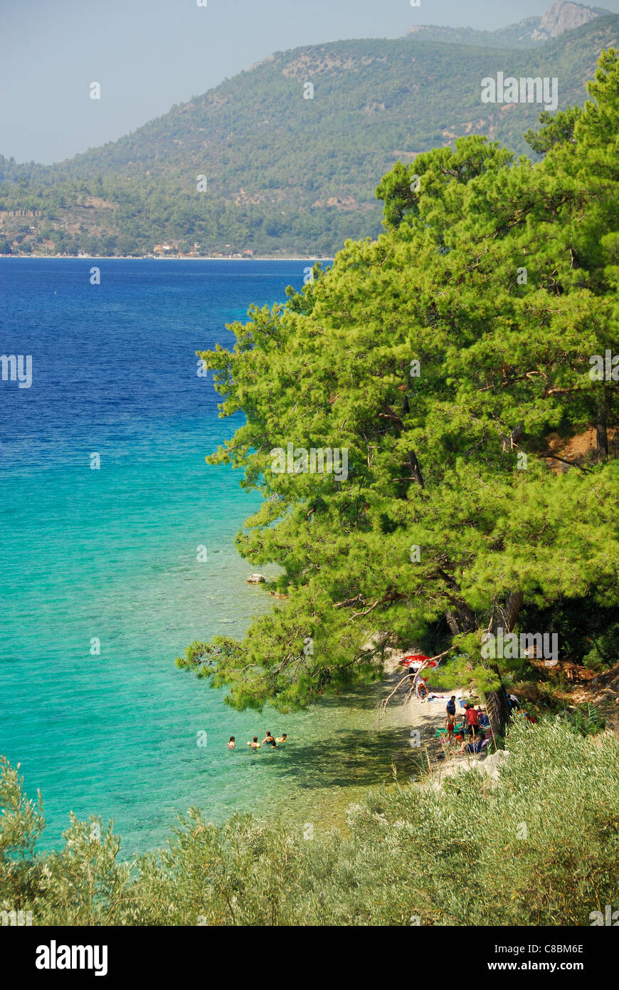 BODRUM PENINSULA, TURKEY. A small, secluded beach shaded by pine trees ...