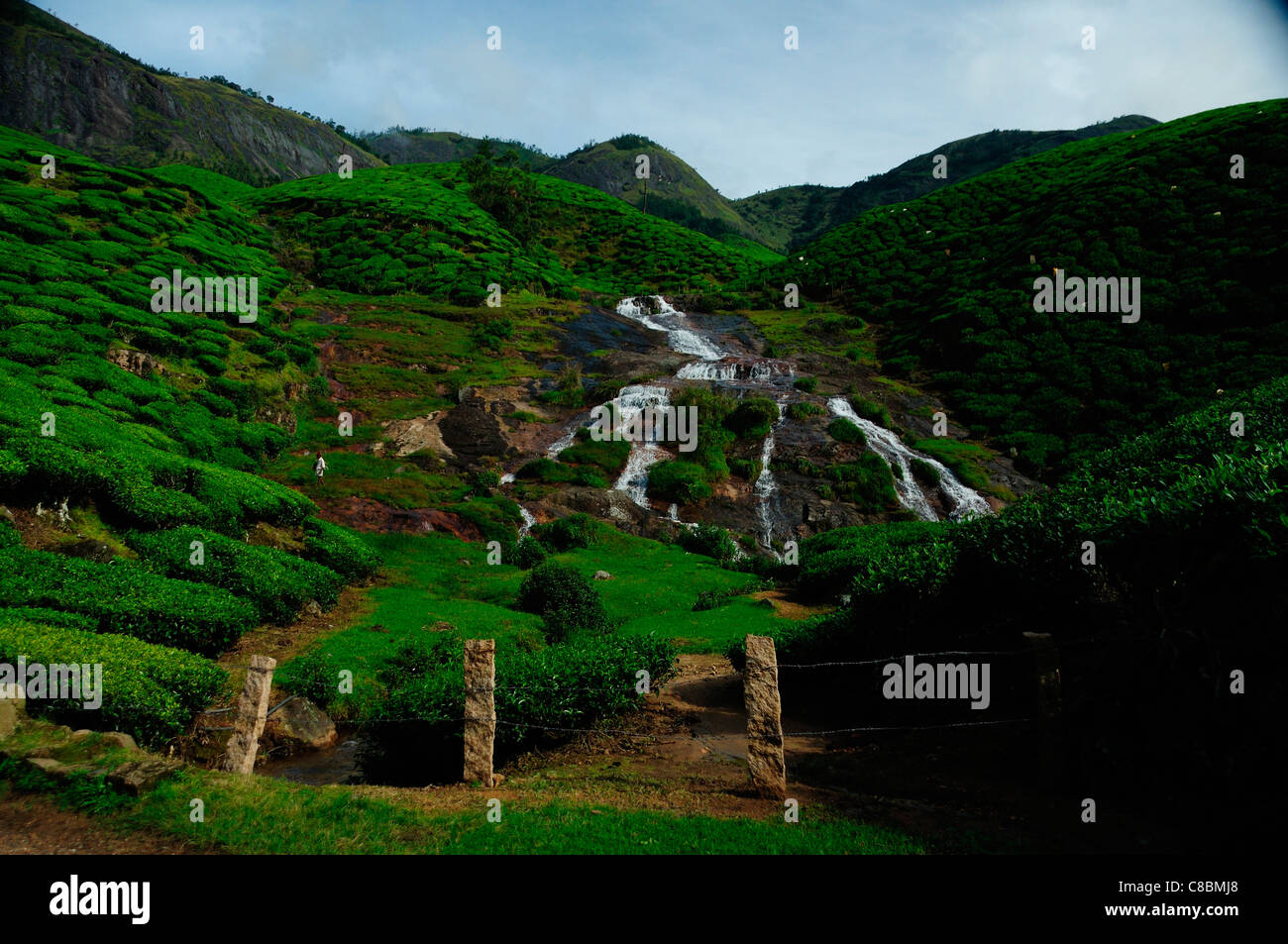Munnar scenery hi-res stock photography and images - Alamy