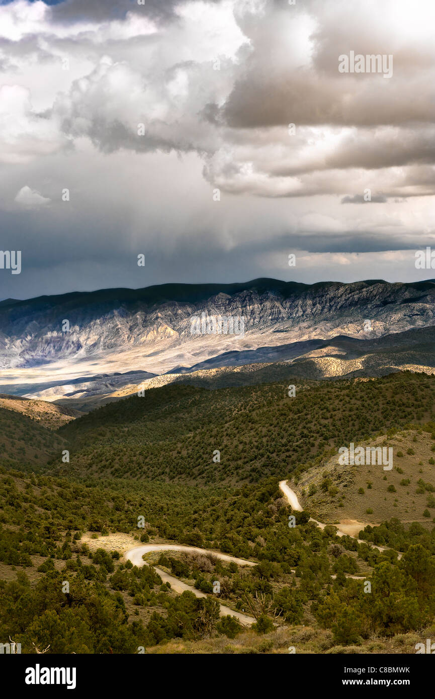 Road in Inyo National Forest and view on White Mountains; California, U ...