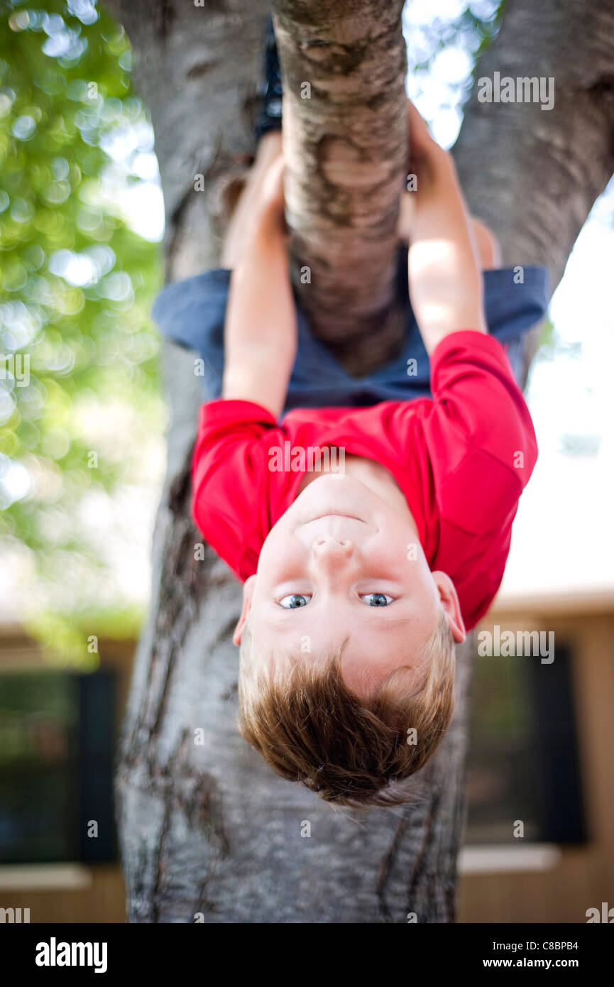 Child upside down from tree branch hi-res stock photography and images ...
