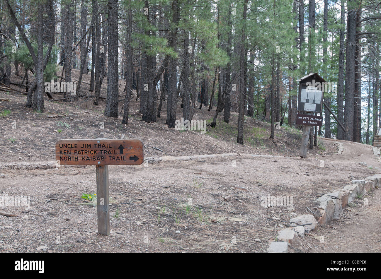 A trail marker points the way on the North Rim of Grand Canyon National ...