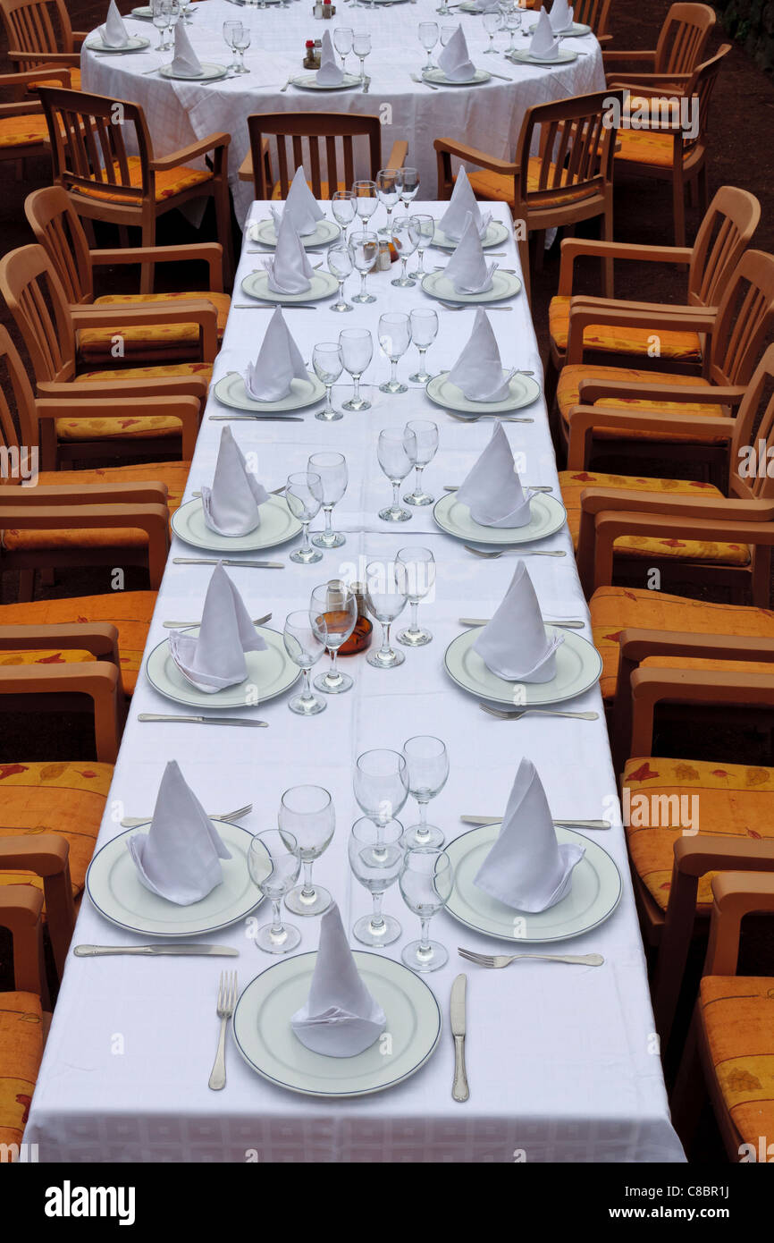Long table laid out with wine glasses, serviettes, plates and cutlery ...