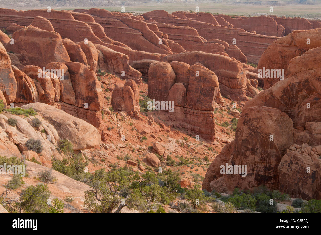 Fins are some of the many geologic formations within Arches National ...